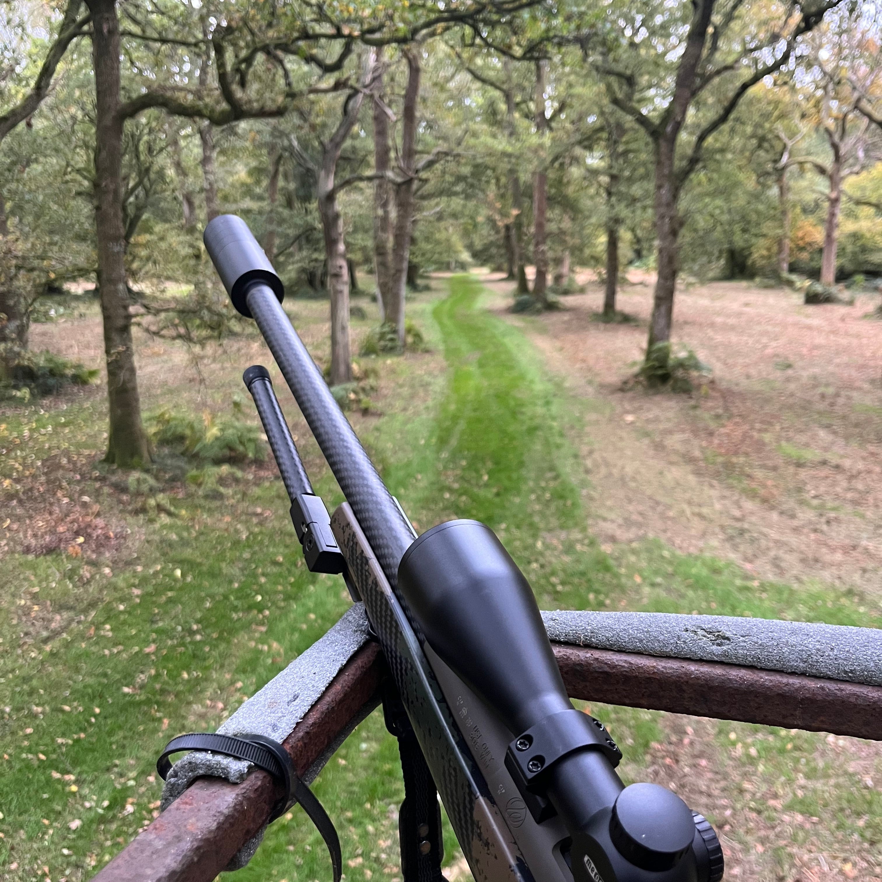 FALLOW & MUNTJAC CULLING (HAMPSHIRE - NEAR ANDOVER SP11) - CULL DAYS F ...